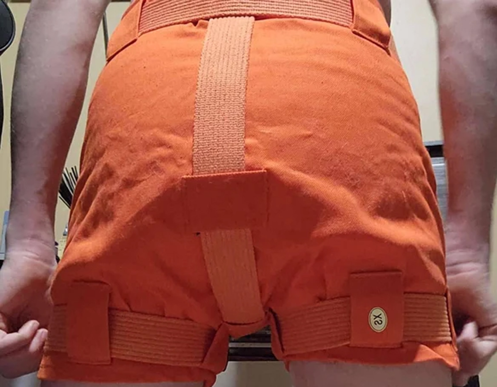 Digital Access: The Prison Diaper - Crinkle Cat Tales
